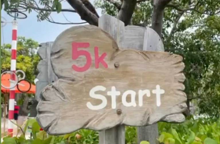 Castaway Cay – Disney’s Private Island - Disney Cruise Line Information