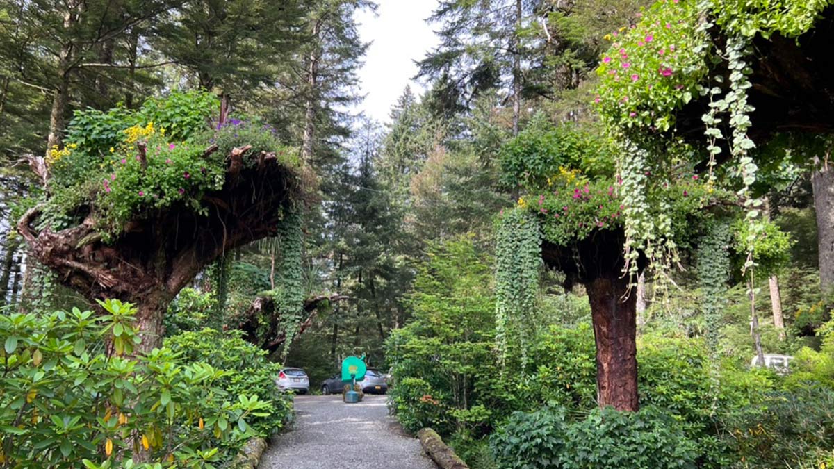 Spending the Day in Juneau During Our Alaska Disney Cruise - Disney ...